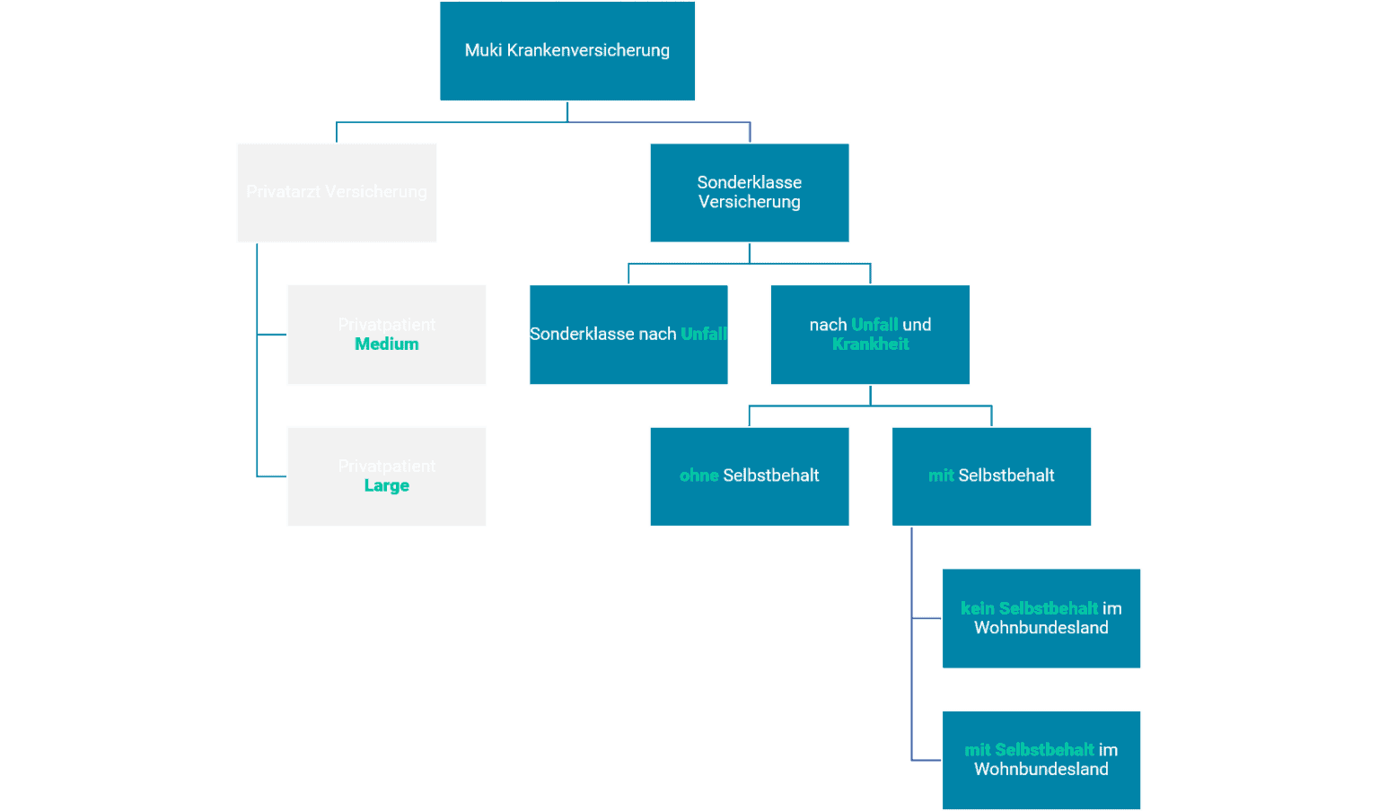 MUKI Krankenversicherung: Tarife und Erfahrungen [2025]